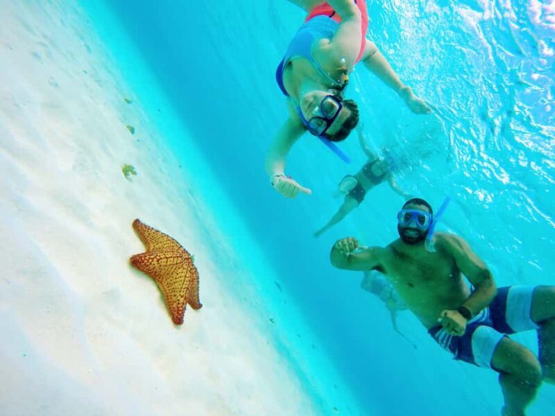 From Cozumel: Starfish, Stingrays & El Cielo Beach Snorkel - The Sum Up