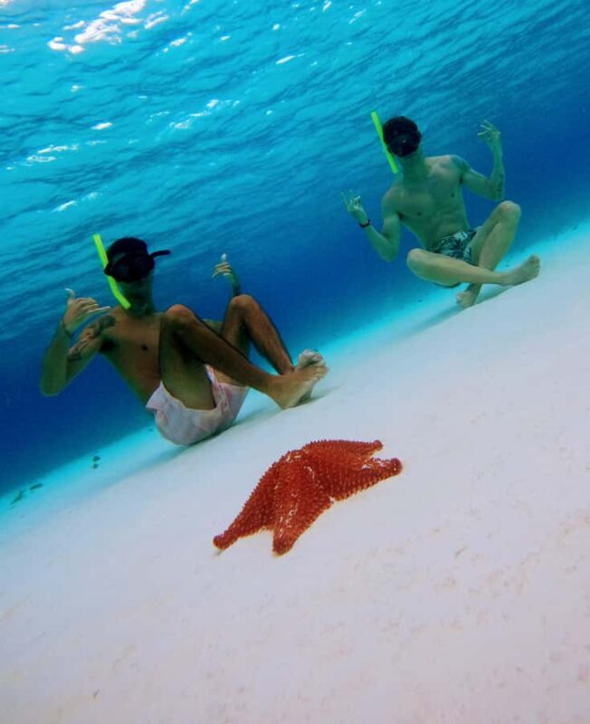 From Cozumel: Starfish, Stingrays & El Cielo Beach Snorkel - FAQs