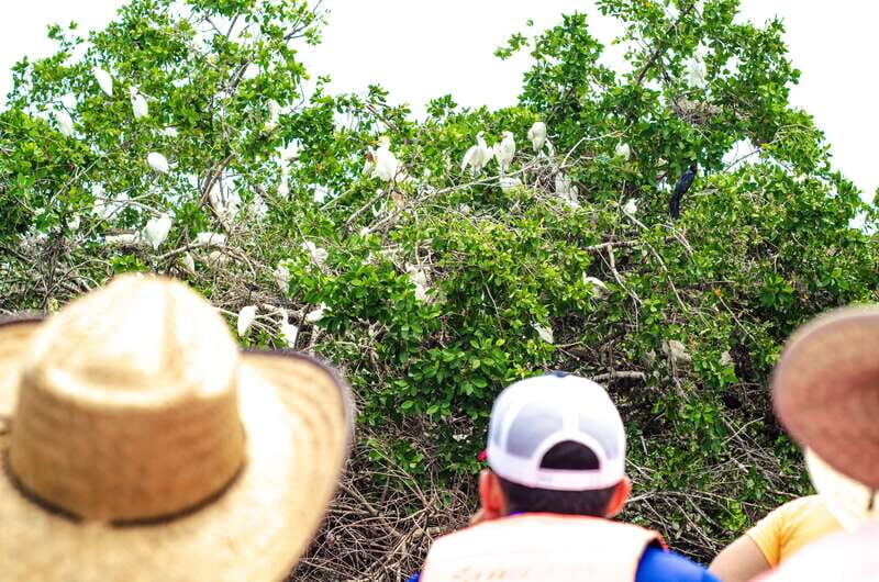 From Crucecita: Ventanilla, Zipolite, and Puerto Ángel Tour - Exploring the Day in Detail