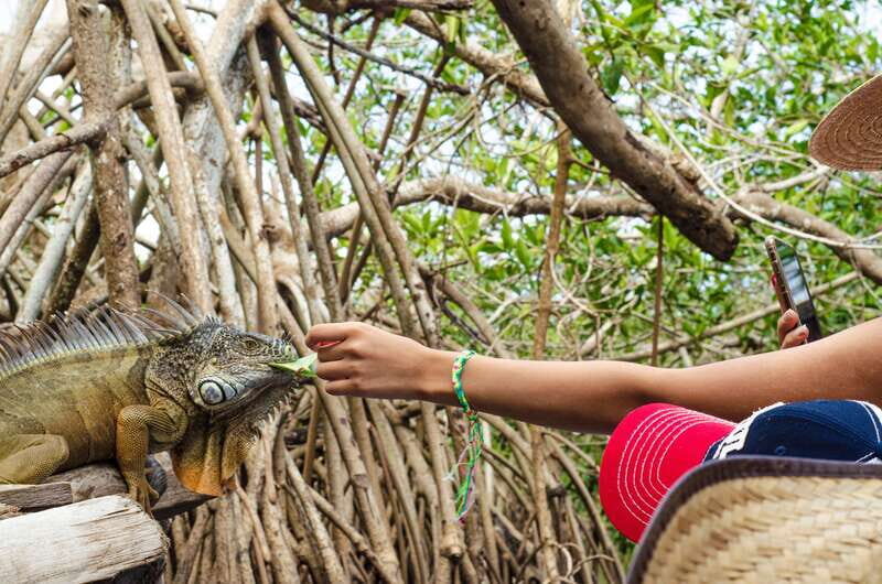 From Crucecita: Ventanilla, Zipolite, and Puerto Ángel Tour - Why We Think This Tour Works