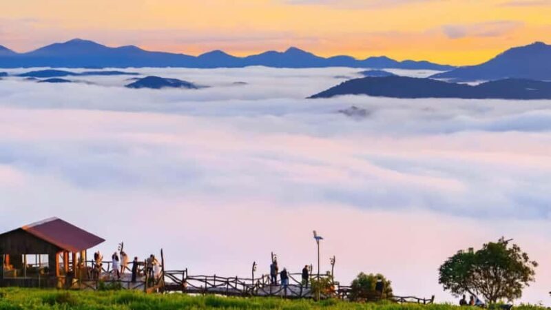 From Da Lat: Cloud Hunting & Nature Tour with Breakfast - Key Points