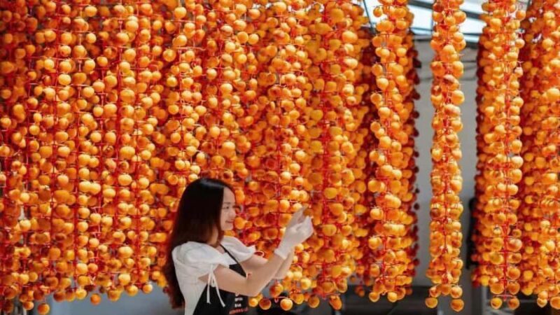 From Da Lat: Cloud Hunting & Nature Tour with Breakfast - Who Is This Tour Best For?