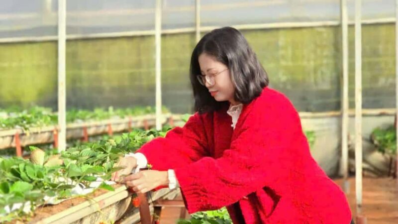 From Da Lat: Cloud Hunting & Nature Tour with Breakfast - Frequently Asked Questions