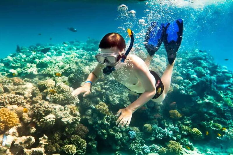 From Da Nang/Hoi An: Cham Islands Tour with Snorkeling - An Honest Look at the Cham Islands Tour