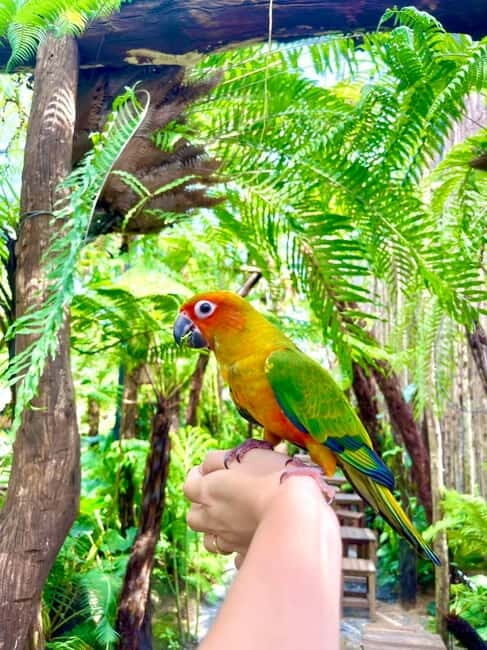 from Da Nang: Hoi An Instagram Cafe Tour with Rooftop View - Key Points