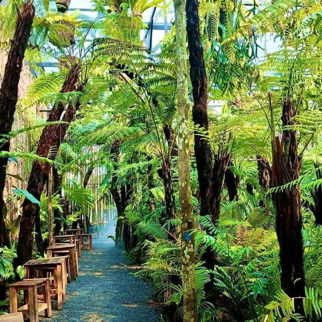 from Da Nang: Hoi An Instagram Cafe Tour with Rooftop View - An Honest Look at the Hoi An Instagram Cafe Tour