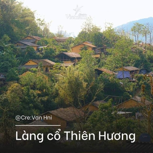 From Da Nang: Private Hoi An & My Son Sanctuary Day Trip - Authenticity, Value, and Overall Experience