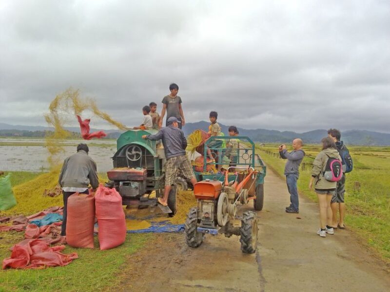 From Dalat: 4D3N Central Highlands Explorer Loop - Who Will Love This Tour?