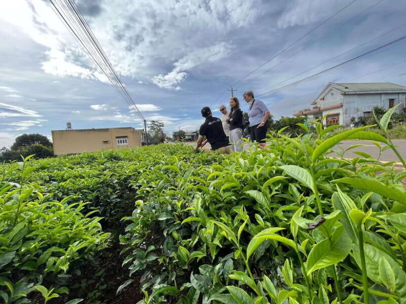 From Dalat: Mui Ne Countryside and White Sand Dunes Tour - Key Points