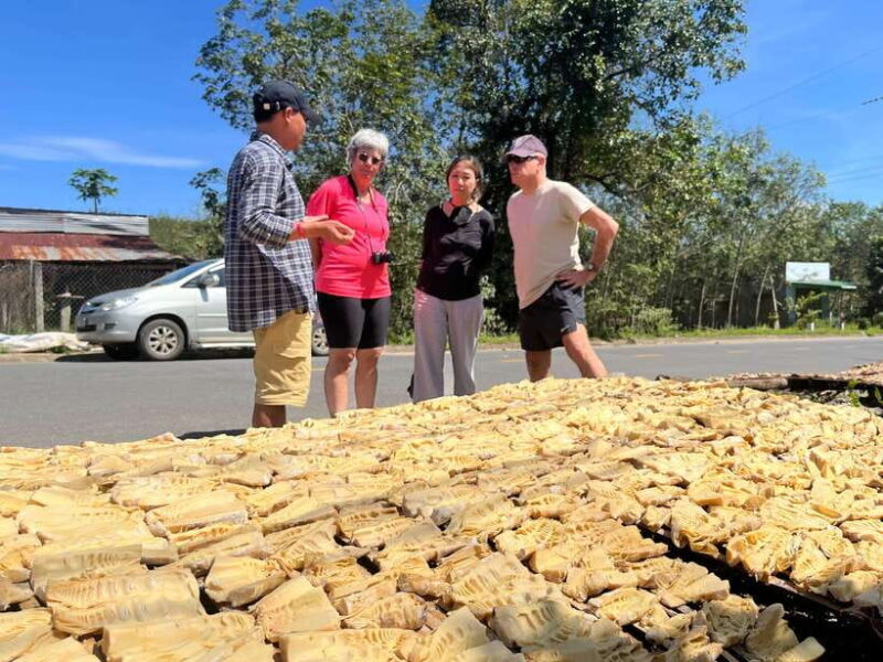 From Dalat: Mui Ne Countryside and White Sand Dunes Tour - An In-Depth Look: What to Expect