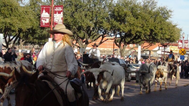 From Dallas: Fort Worth Guided Day Tour - The Historic Heart: Fort Worth Stockyards