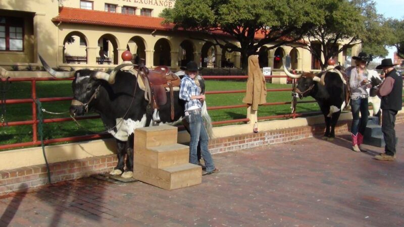 From Dallas: Fort Worth Guided Day Tour - Worth the Price?