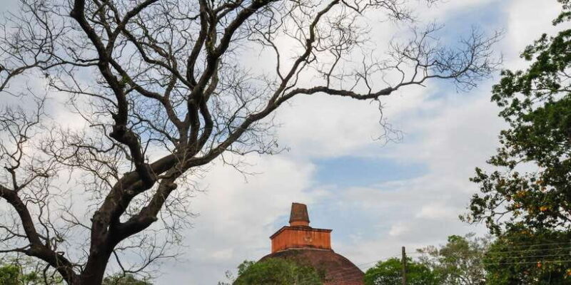 From Dambulla: Sacred City of Anuradhapura Private Day Tour - FAQ