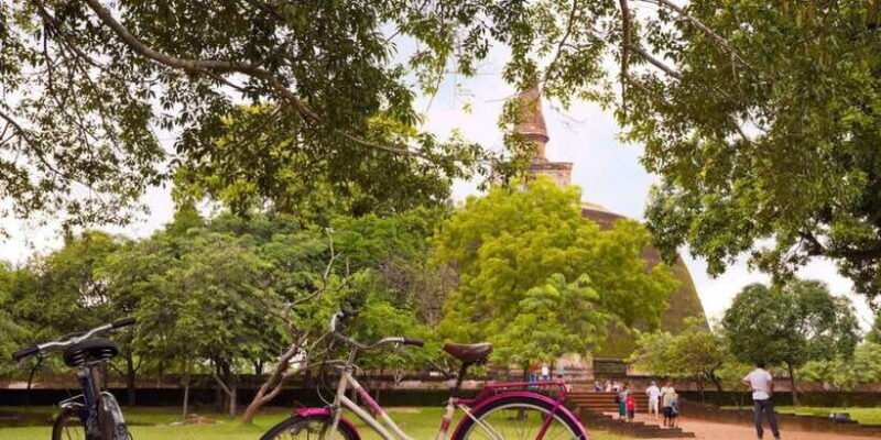 From Dambulla/ Sigiriya: Ancient City of Polonnaruwa by Bike - A Closer Look at the Tour Experience
