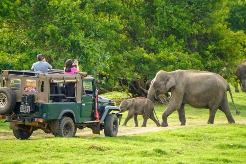 From Dambulla, Sigiriya: Polonnaruwa Tuk Tuk Day Tour - Who Should Consider This Tour?