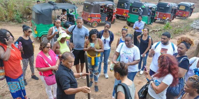 From Dambulla: Sigiriya Rock, Village, and Minneriya Tour - The Sum Up