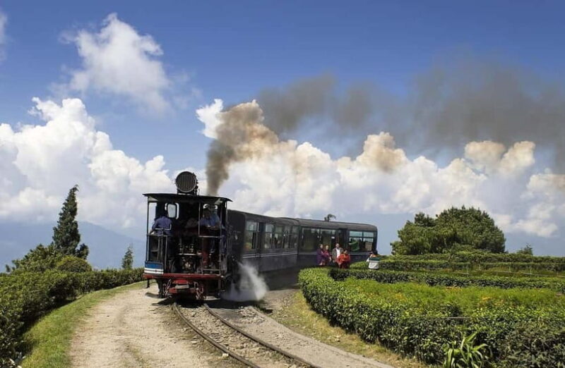 From Darjeeling: 8-Day Sandakphu Circuit Trek - What Travelers Say