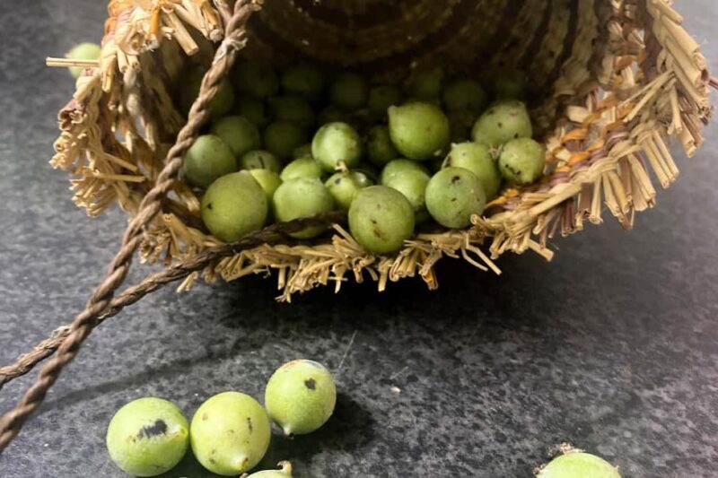 From Darwin: 2-Day Kakadu Cooinda & Yellow Water Cruise - Final Thoughts