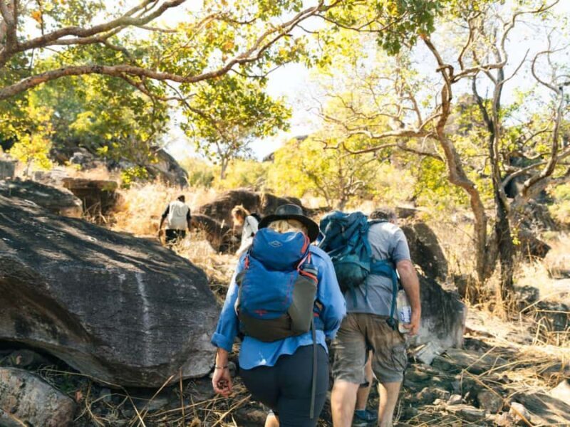 From Darwin: 4-Day Kakadu, Katherine & Litchfield Explorer - A Detailed Look at the Itinerary