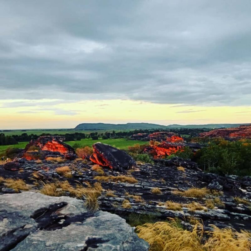 From Darwin: Kakadu 2-Day Tour - The Itinerary: A Closer Look at What You’ll Experience