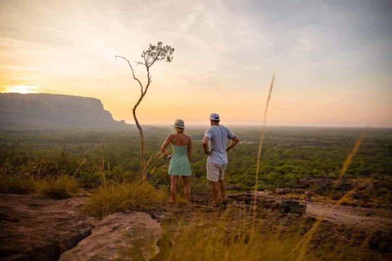 From Darwin: Kakadu National Park Day Tour with Cruise (3A) - Starting at Dawn — The Wetlands and Birdlife