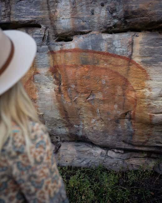 From Darwin: Kakadu National Park Day Tour with Cruise (3A) - Overall Value and Who It’s For