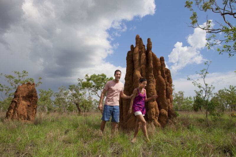From Darwin: Kakadu National Park Full Day Tour - Detailed Review of the Kakadu National Park Full Day Tour
