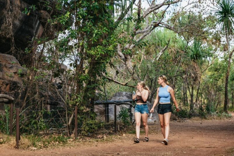 From Darwin: Kakadu Wilderness Escape Day Tour - Starting Out: Early Morning Pickup and Transport