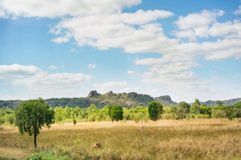 From Darwin: Kakadu Wilderness Escape Day Tour - Ubirr Rock Art: An Artistic and Cultural Gem
