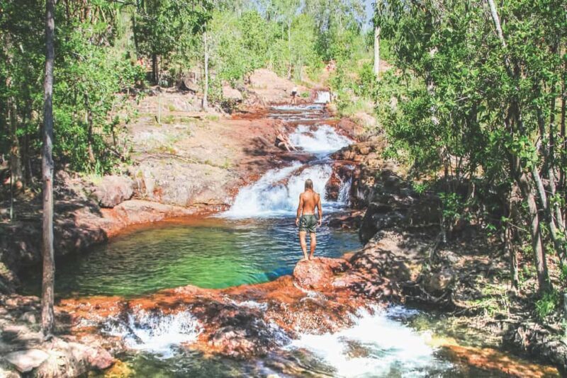 From Darwin: Litchfield National Park Day Trip - An Introduction to the Experience