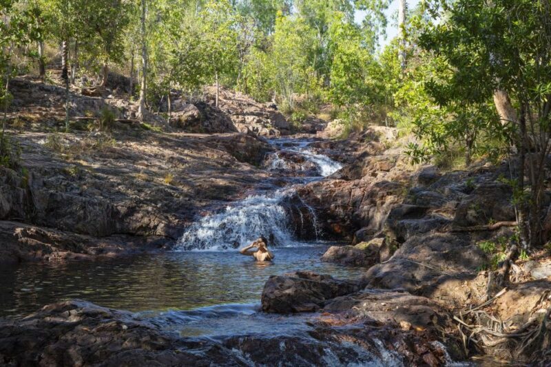 From Darwin: Litchfield National Park Day Trip - What to Expect and Practical Details