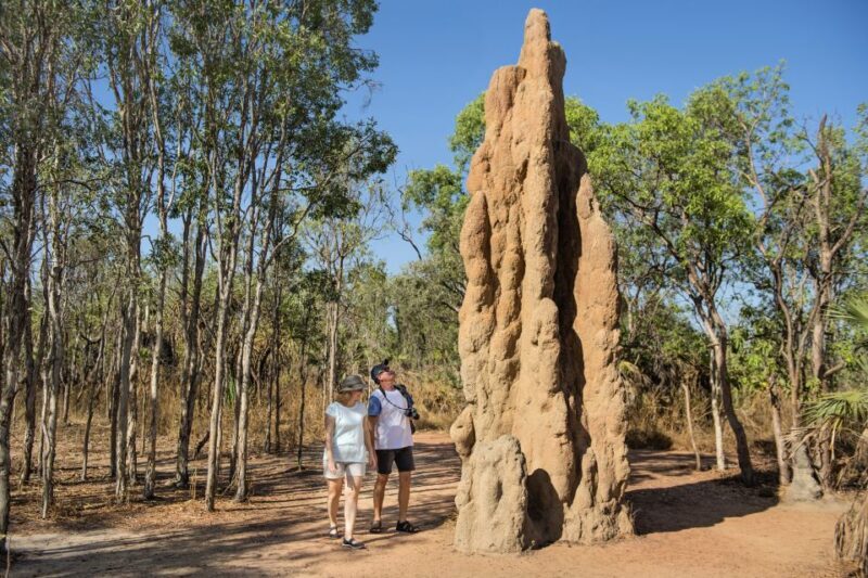 From Darwin: Litchfield National Park Full Day Tour - Why Choose This Tour?