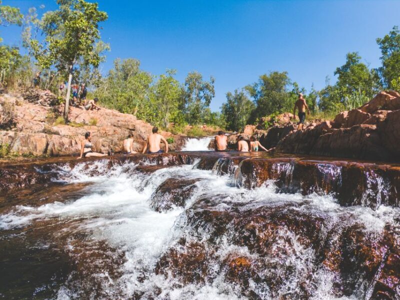 From Darwin: Litchfield National Park Full Day Tour - Authentic Voices: What Travelers Say
