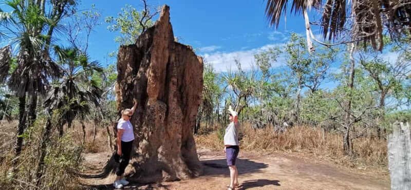 From Darwin: Litchfield National Park Small-Group Day Trip - Key Points