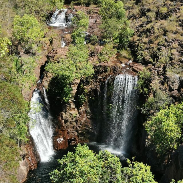 From Darwin: Litchfield National Park Small-Group Day Trip - An In-Depth Look at the Tour