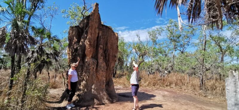 From Darwin: Litchfield National Park Small-Group Day Trip - Who Will Love This Tour?