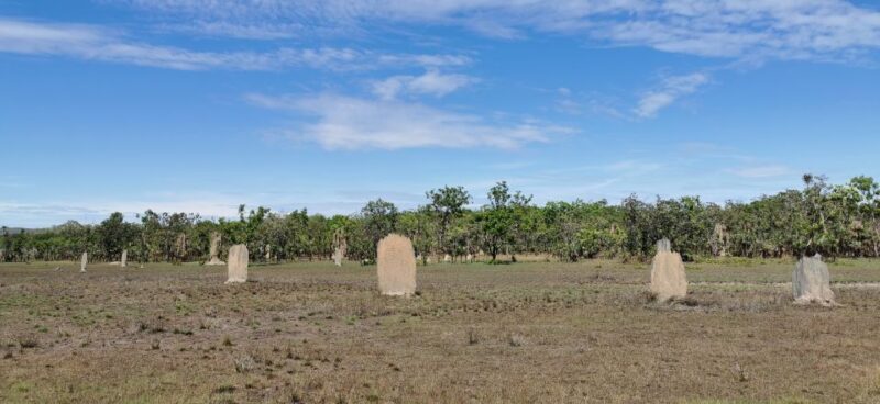From Darwin: Litchfield National Park Small-Group Day Trip - FAQ