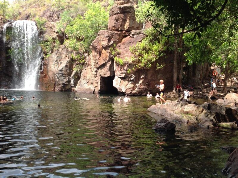 From Darwin: Litchfield Park Tour & Jumping Crocodile Cruise - Key Points