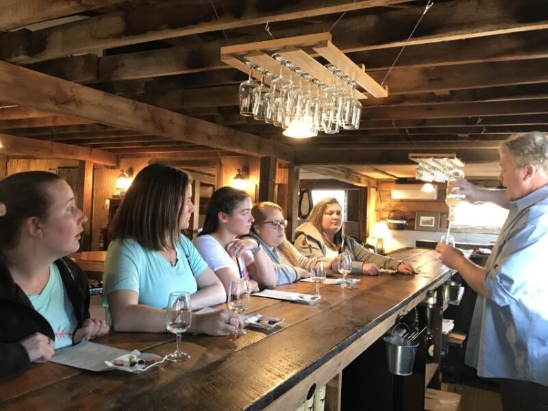 From DC: Premium Virginia Wine Country Tour with Tastings - Transportation & Group Experience