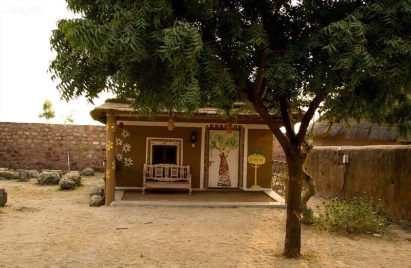 From Delhi:- 06- Days Rural Rajasthan Villages Guided Tour - Transportation and Group Dynamics