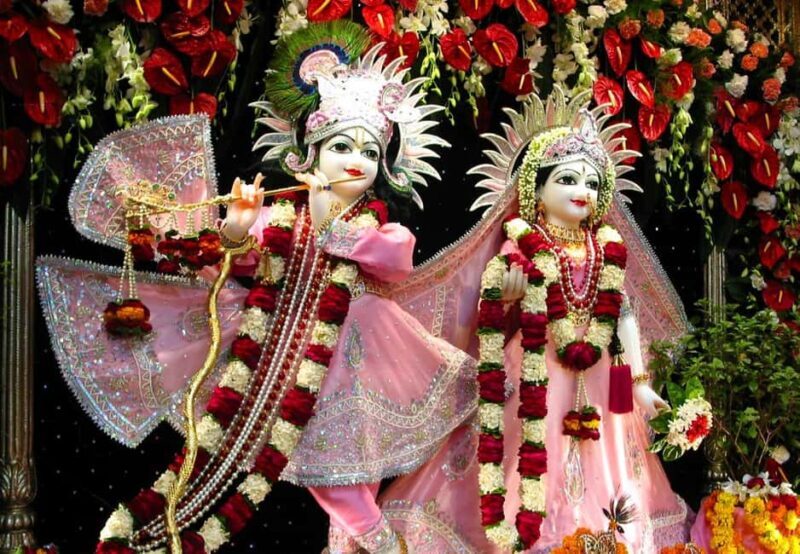 From Delhi: 1-day trip Mathura with Elephant conservation - An In-Depth Look at the Tour