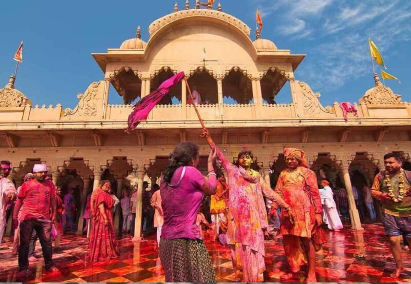 From Delhi: 1-day trip Mathura with Elephant conservation - Key Points