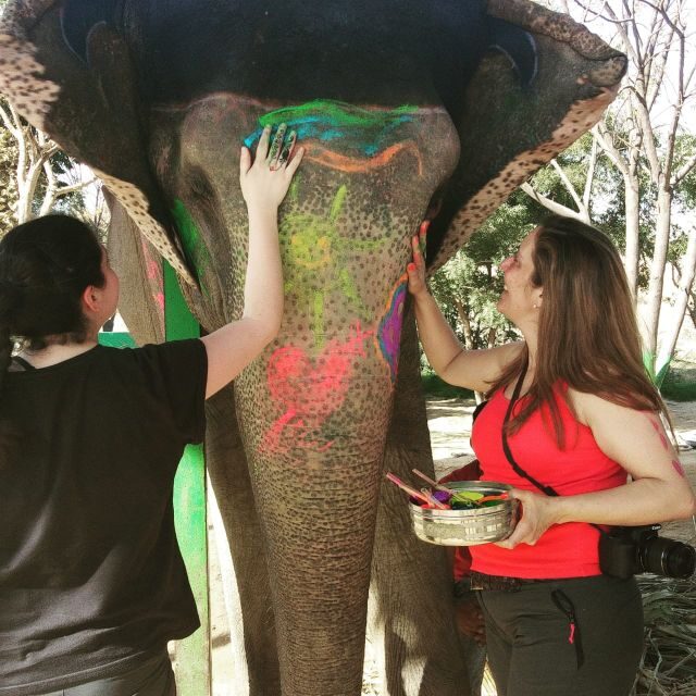 From Delhi: 3-Day Golden Triangle Tour with 5 & 3 Star Hotel - Considerations & Potential Drawbacks