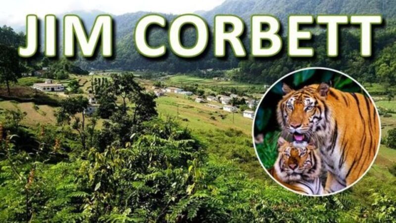 From Delhi: 3-Day Wildlife Trip to Jim Corbett National Park - An Authentic Wildlife Encounter in Jim Corbett