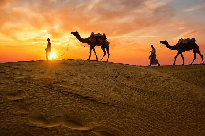 From Delhi: 3 Days Private Golden Triangle India Tour - An Overview of the Experience