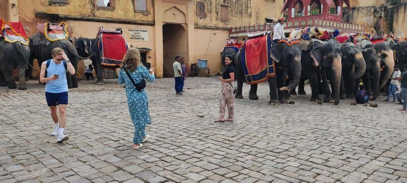 From Delhi: 4 Days Golden Triangle Tour with Ranthambore - Exploring the Itinerary: What You’ll See and Experience