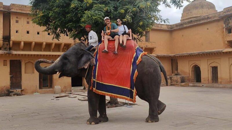 From Delhi: 5-Day Golden Triangle and Tiger Safari Tour - Who Is This Tour Best For?