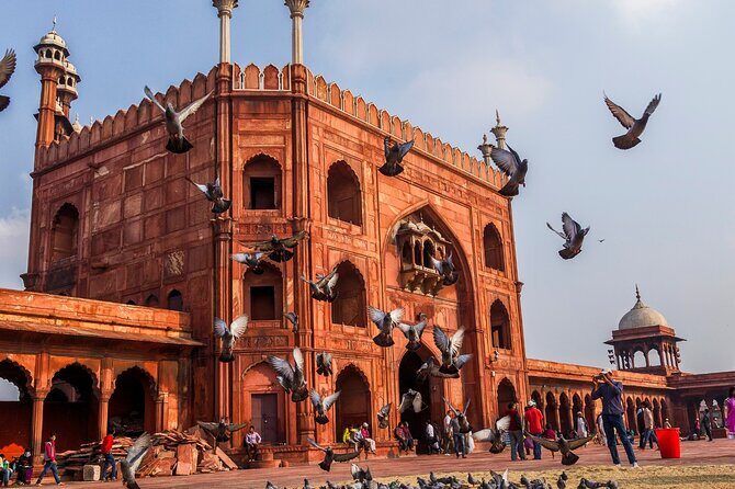 From Delhi 5 Days Private Golden Triangle Tour With Ranthambore - FAQ