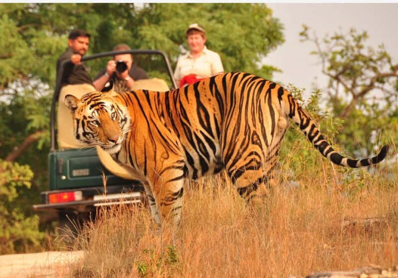 From Delhi: 6-Day Golden Triangle Tour with Ranthambore - Key Points