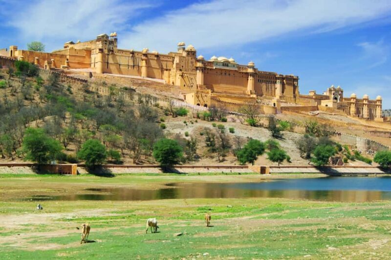 From Delhi: 8-Day Golden Triangle Jodhpur Udaipur Tour - How the Experience Works and What to Expect